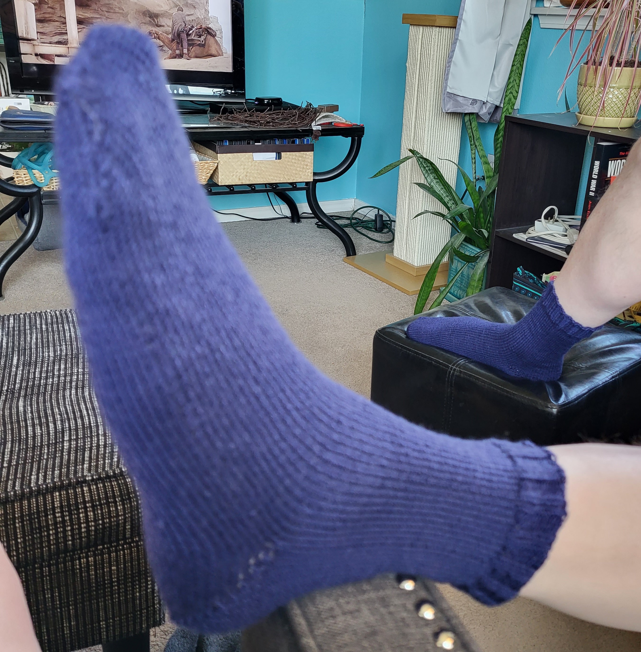 I’m Back – and So Is My Sock Model – Quite A Yarn