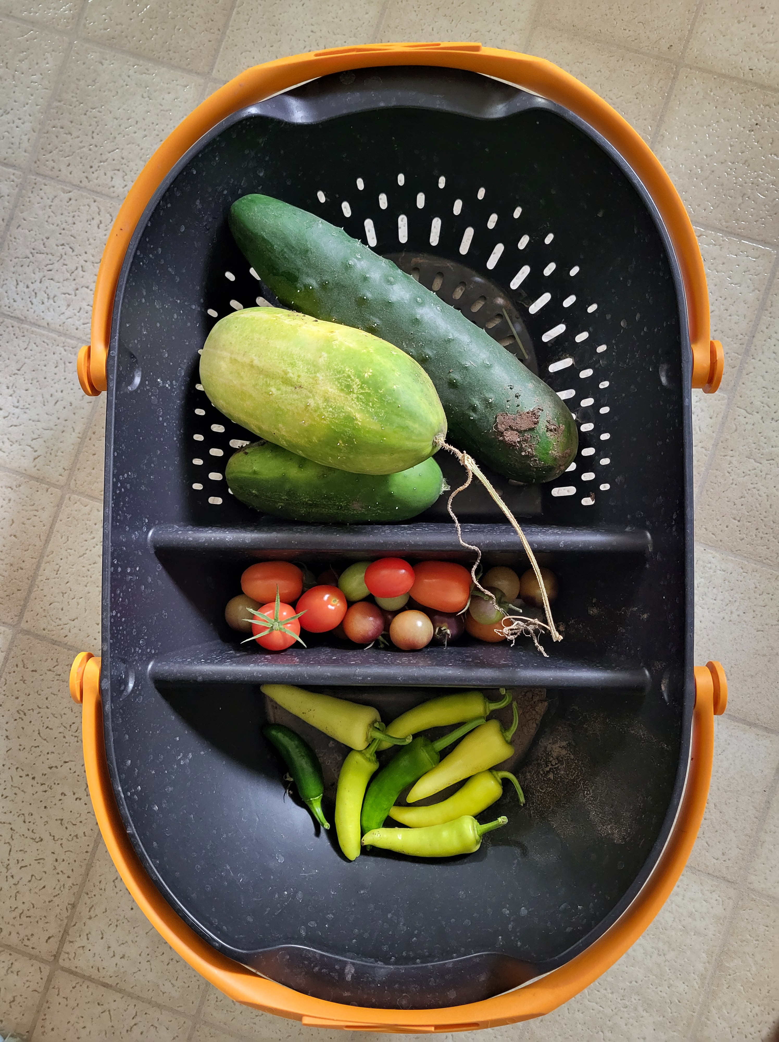 Last Agriculture Report for 2025 – Quite A Yarn